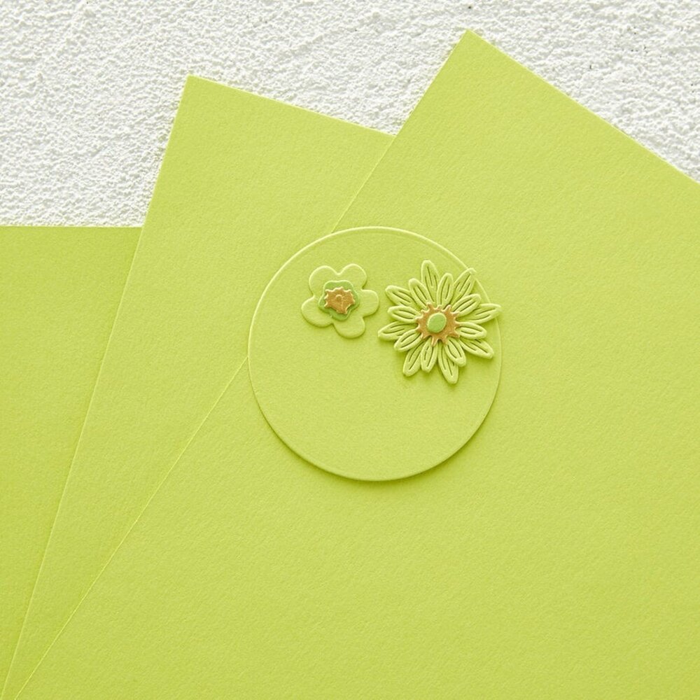 Spellbinders Color Essential Cardstock 8.5x11 Inch Peridot (CS-013 ...