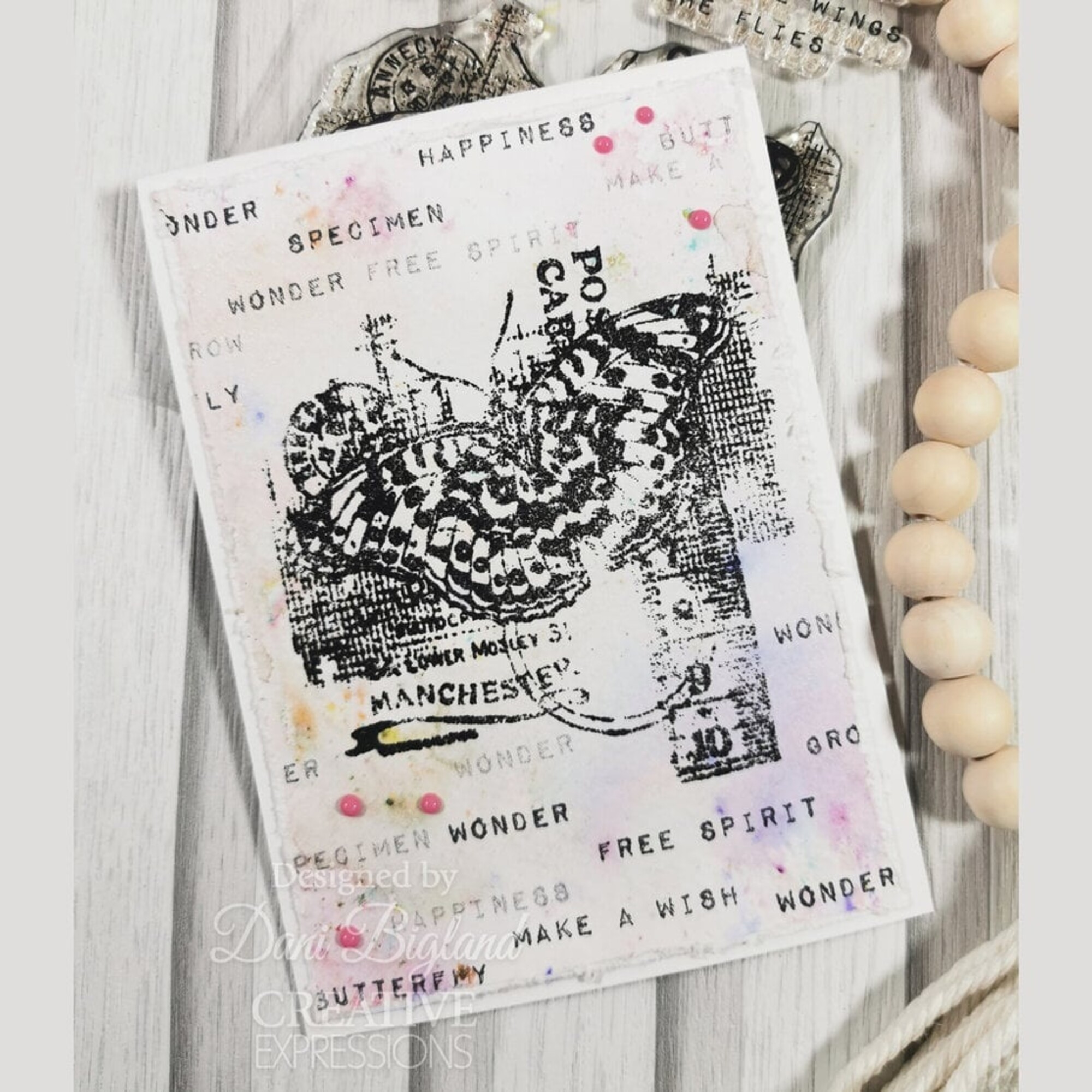 Creative Expressions Sam Poole Clear Stamp A6 Fly (CEC1083) - Paperpads.nl