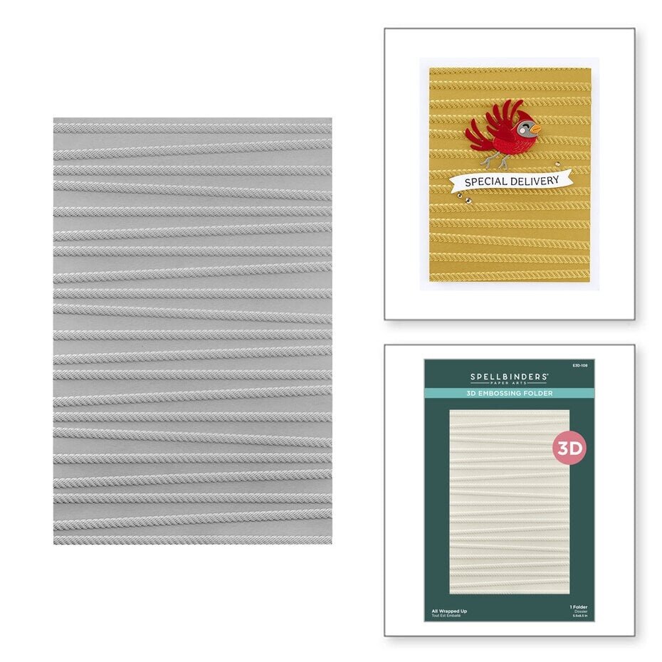 Spellbinders All Wrapped Up 3D Embossing Folder (E3D-108) - Paperpads.nl