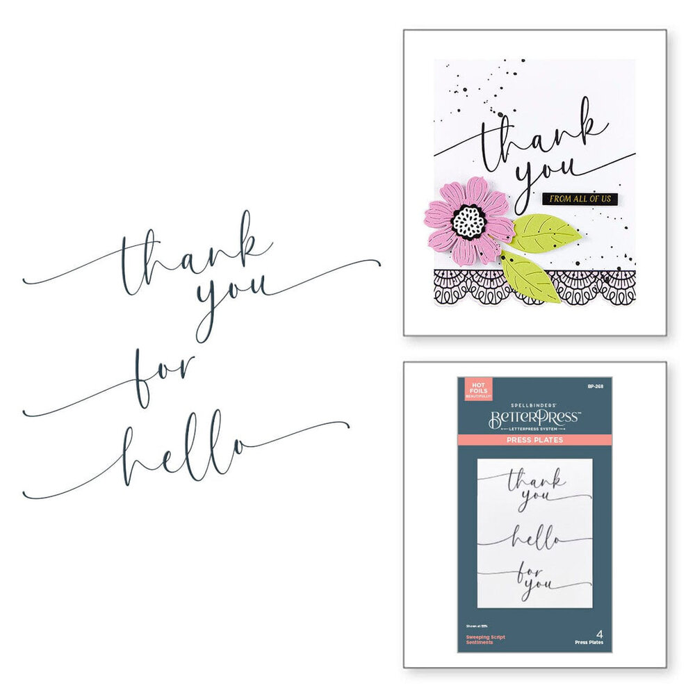 Spellbinders Vivid Expressions Sweeping Script Sentiments Press Plates ...