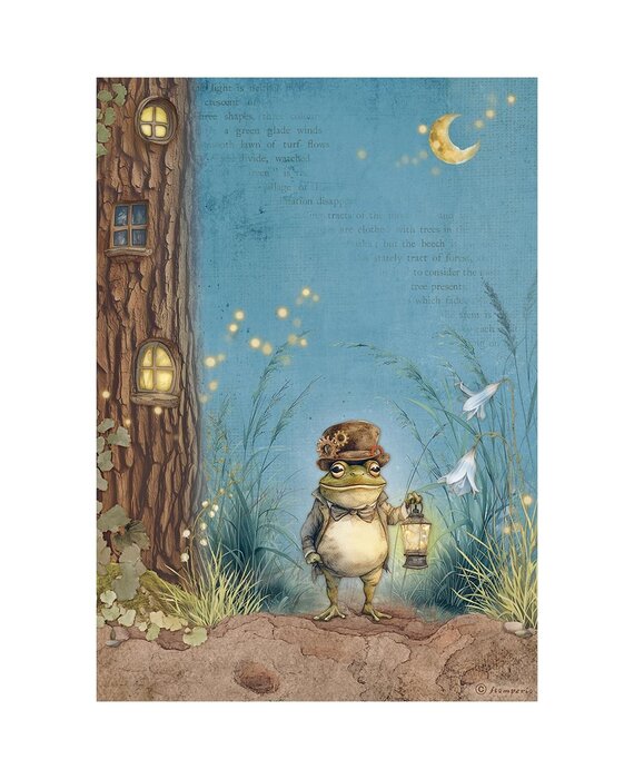 Nieuw In Ons Assortiment - Paperpads.nl