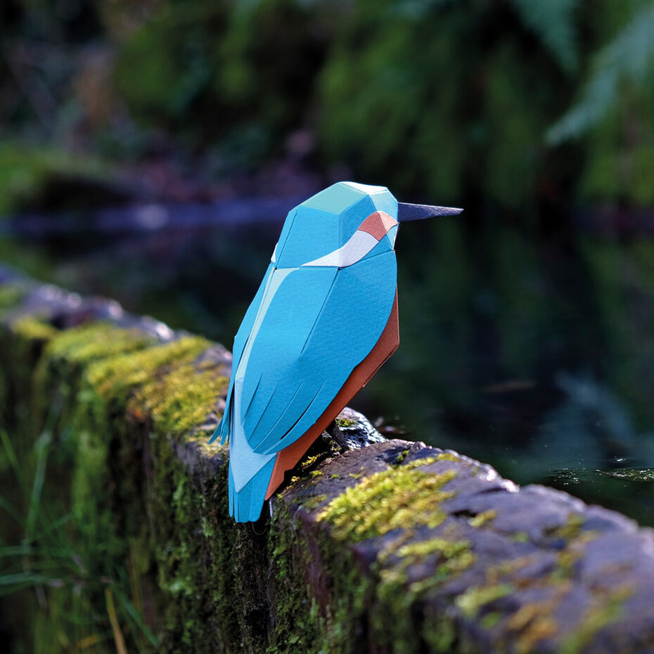 Plego Bird Collection Alcedo Atthis Paper Kit - Paperpads.nl