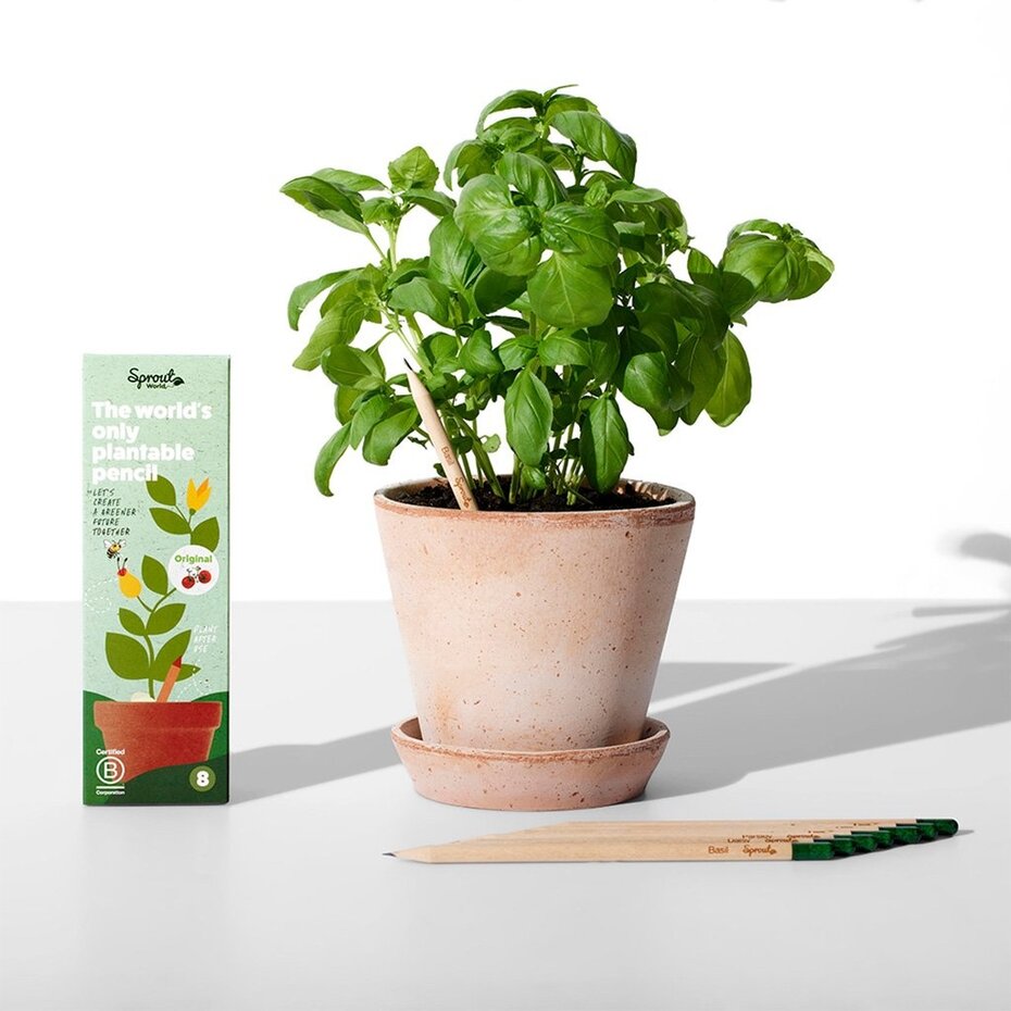 Sprout World Plantable Pencils Original 8 Pack - Paperpads.nl