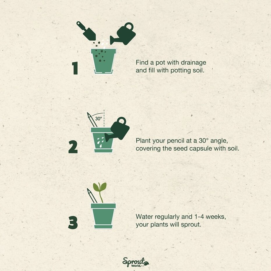 Sprout World Plantable Pencils Original 8 Pack - Paperpads.nl