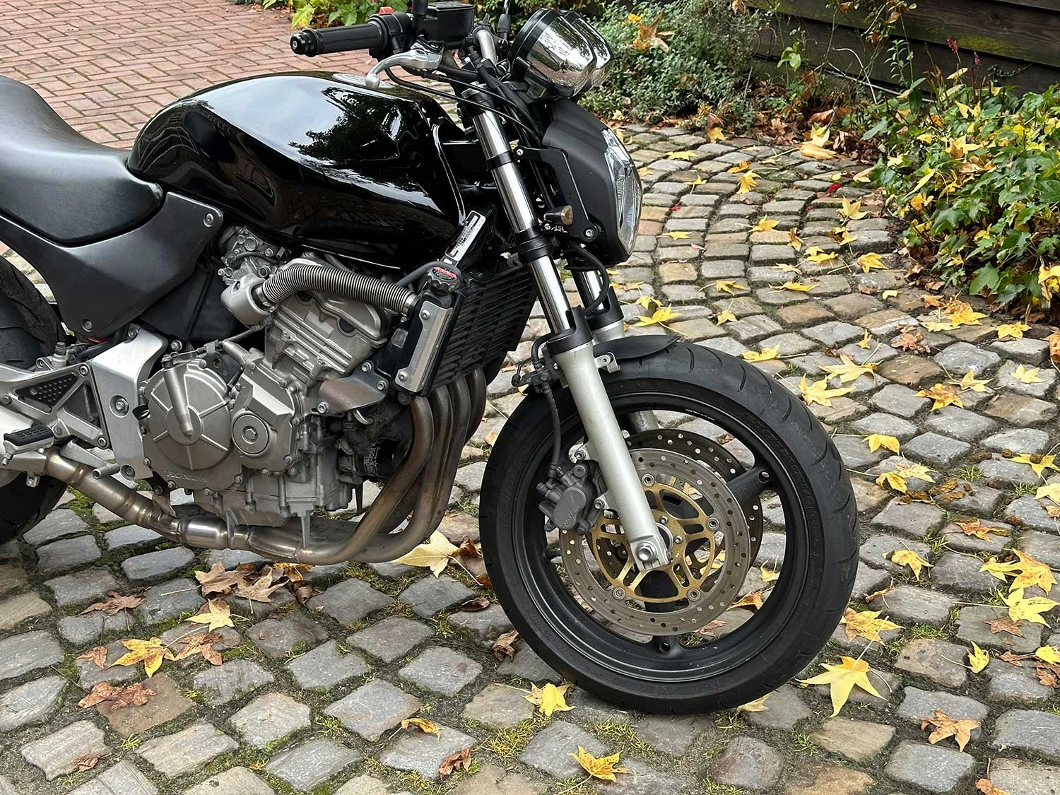 RAW Metal Racers Front fender Honda CB250, 600, 900 Hornet 1996 -2009 ...