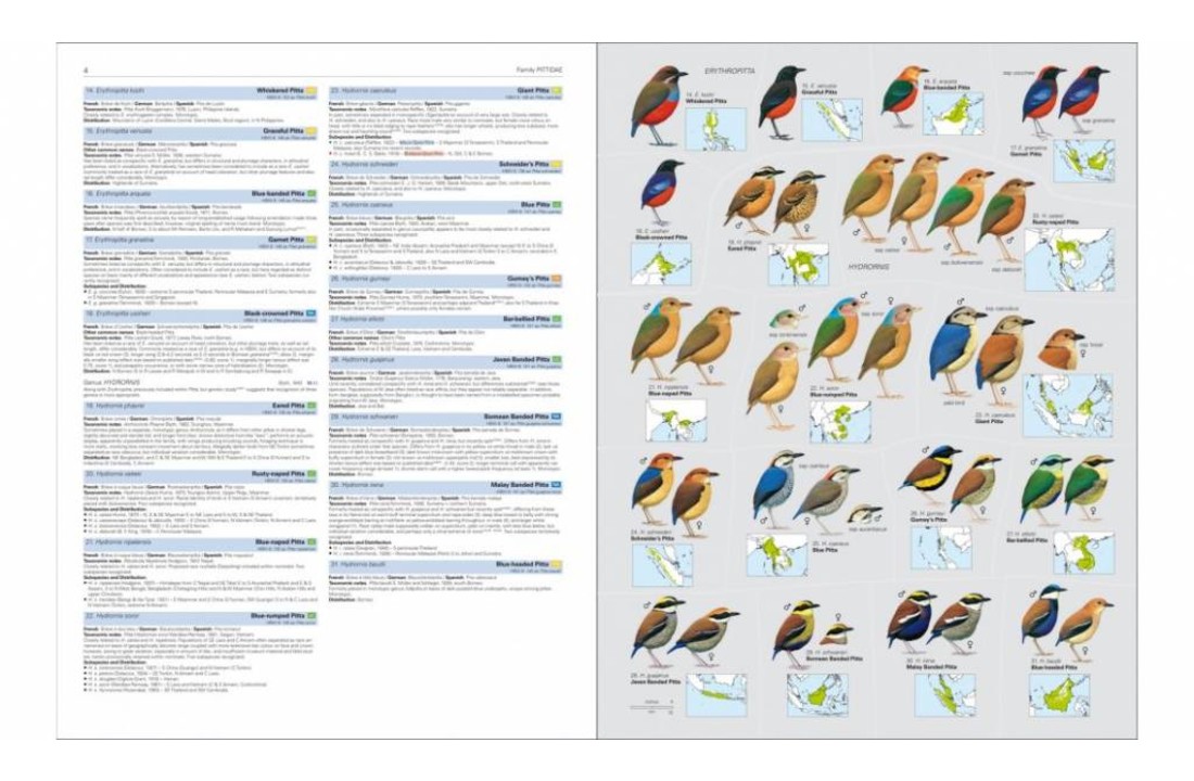 Illustrated Checklist of the Birds of the World - Volume 2: Passerines ...