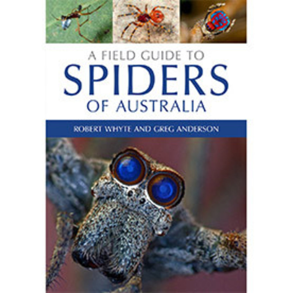 A Field Guide to Spiders of Australia - Veldshop