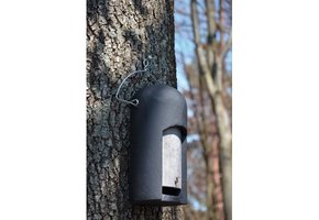 Bat Boxes for Trees - Veldshop.nl
