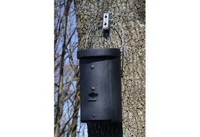 Bat Boxes for Trees - Veldshop.nl