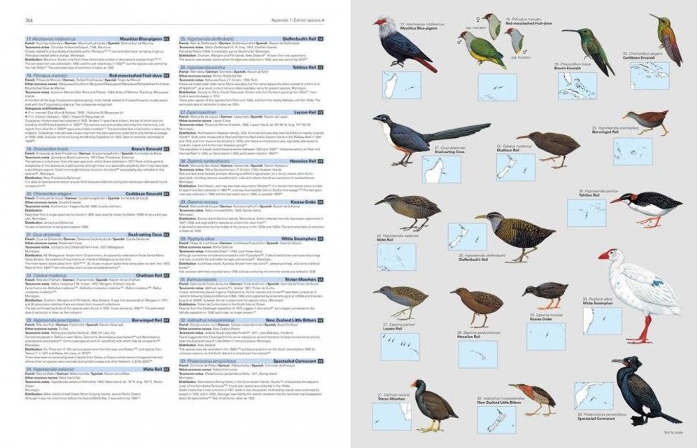 Illustrated Checklist of the Birds of the World - Volume 1: Non-Passer
