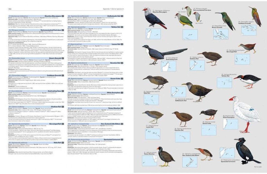 Illustrated Checklist of the Birds of the World - Volume 1: Non-Passer ...