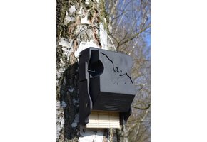 Bat Boxes for Trees - Veldshop.nl