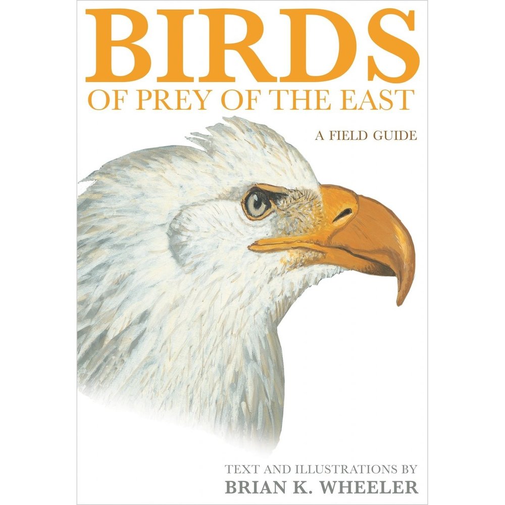 Birds of Prey of the East - A Field Guide - Veldshop