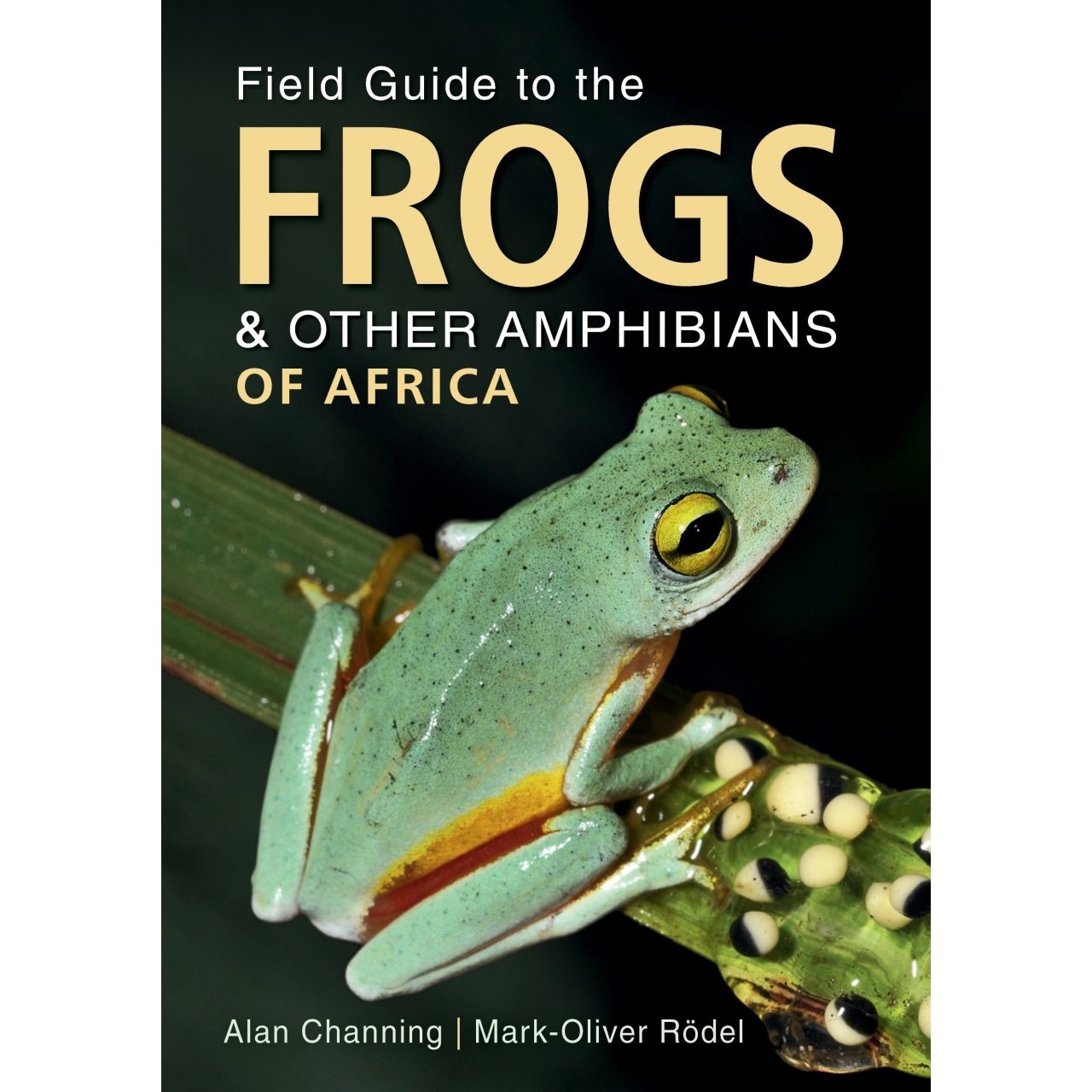Field Guide to the Frogs & Other Amphibians of Africa - Veldshop.nl Field Guide to the Frogs & Other Amphibians of Africa - Veldshop.nl