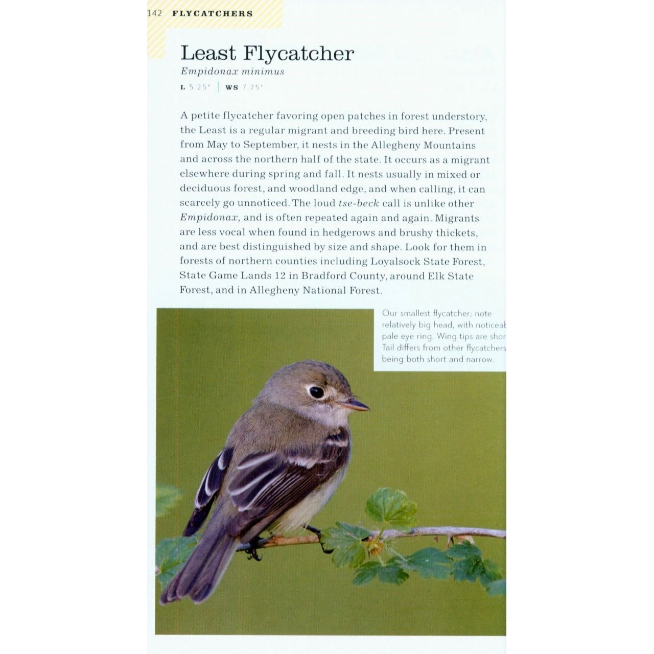 American Birding Association Field Guide to Birds of Pennsylvania