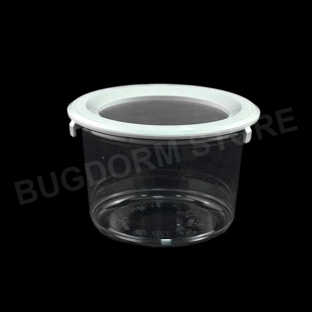 Bugdorm BDPN16 Pint-sized Insect Pot with Snap Lid - Veldshop.nl