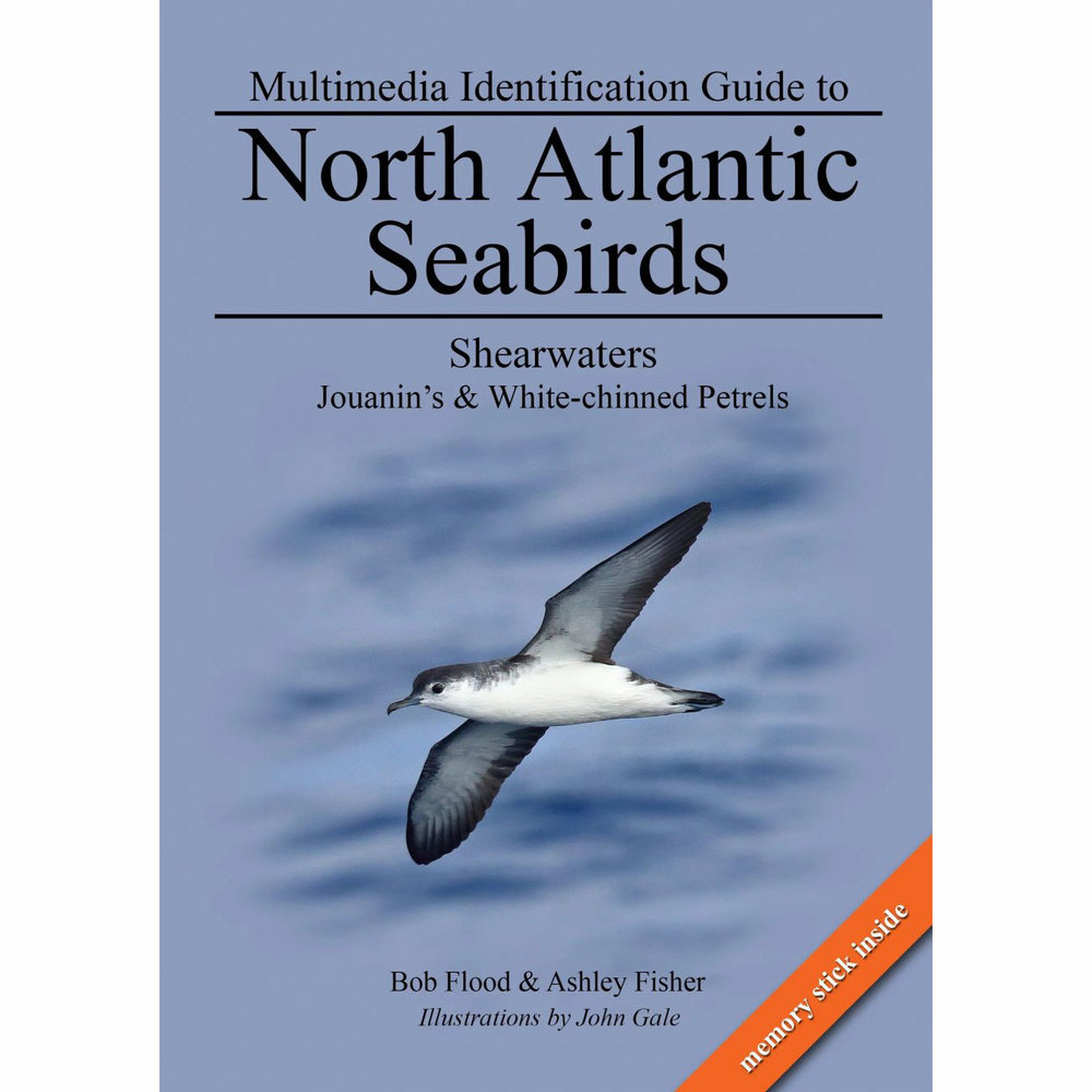 Multimedia Identification Guide: Shearwaters, Jouanin's & Petrels ...
