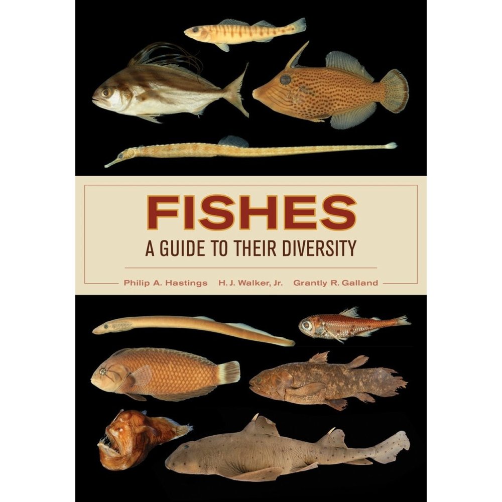Fishes - A Guide to their Diversity - Veldshop