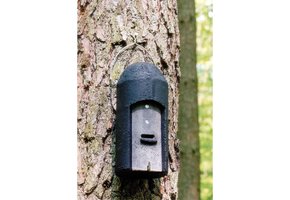 Bat Boxes for Trees - Veldshop.nl