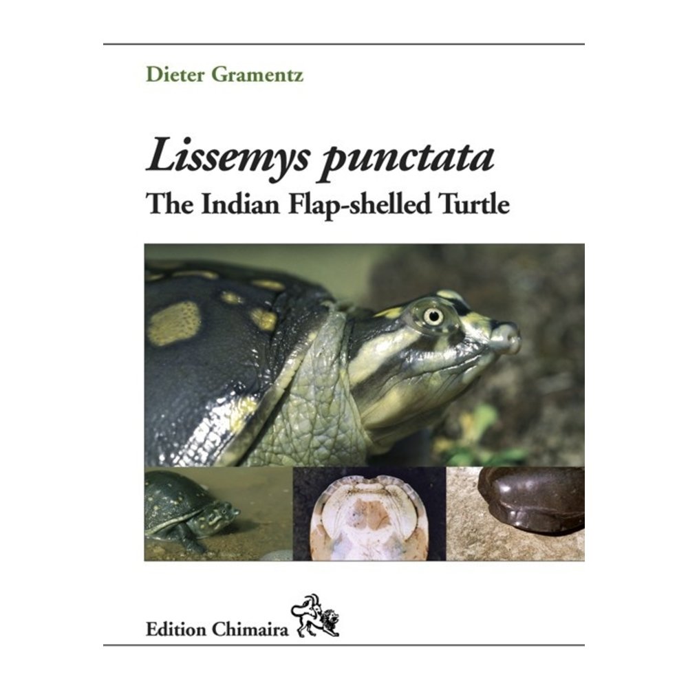 Lissemys Punctata - The Indian Flap-shelled Turtle - Veldshop