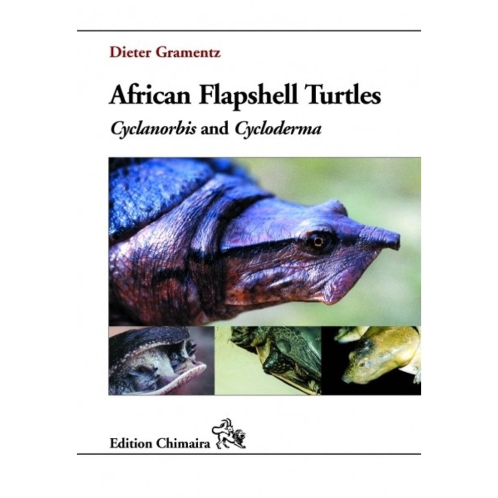 African Flapshell Turtles - Cyclanorbis and Cycloderma - Veldshop