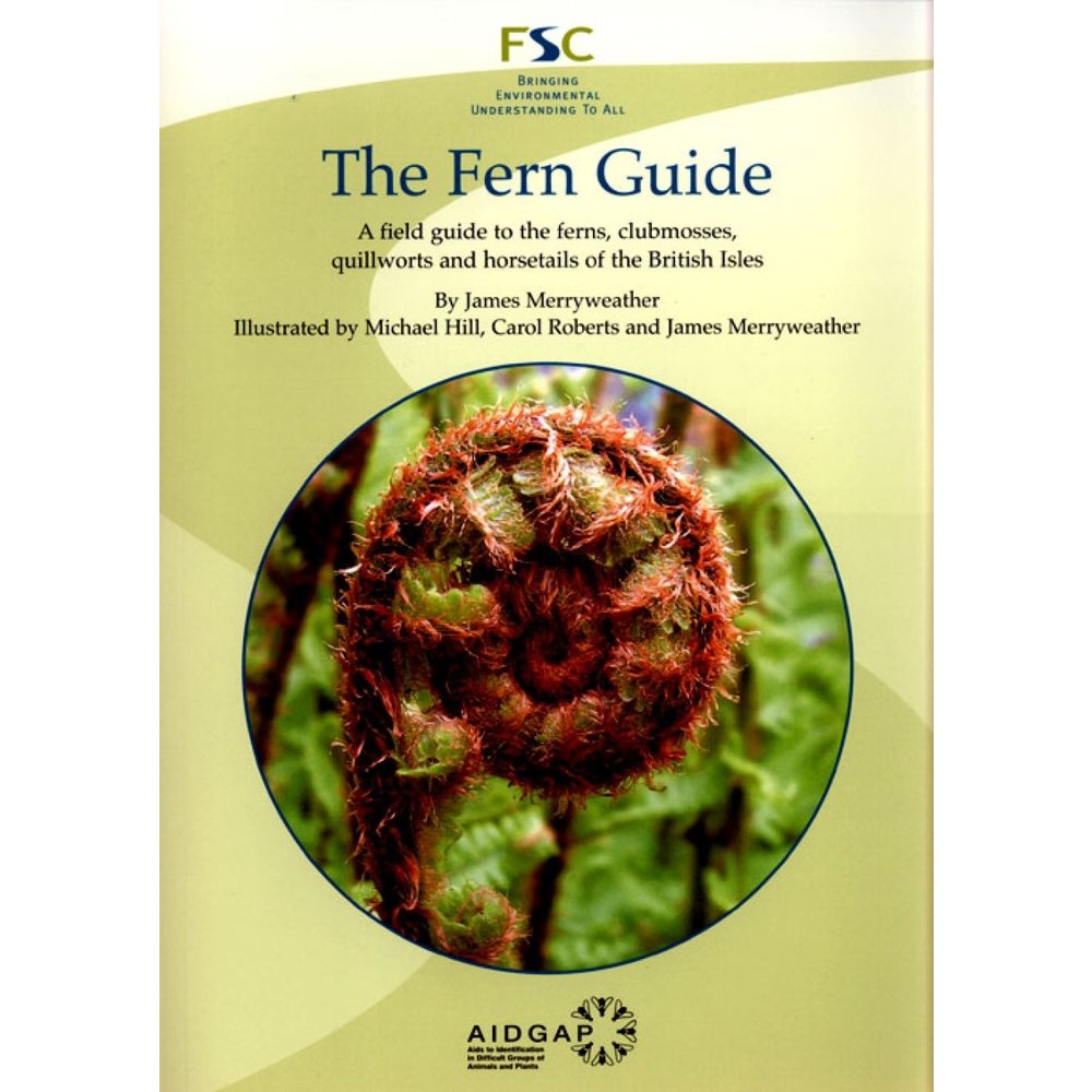 The Fern Guide - Veldshop.nl