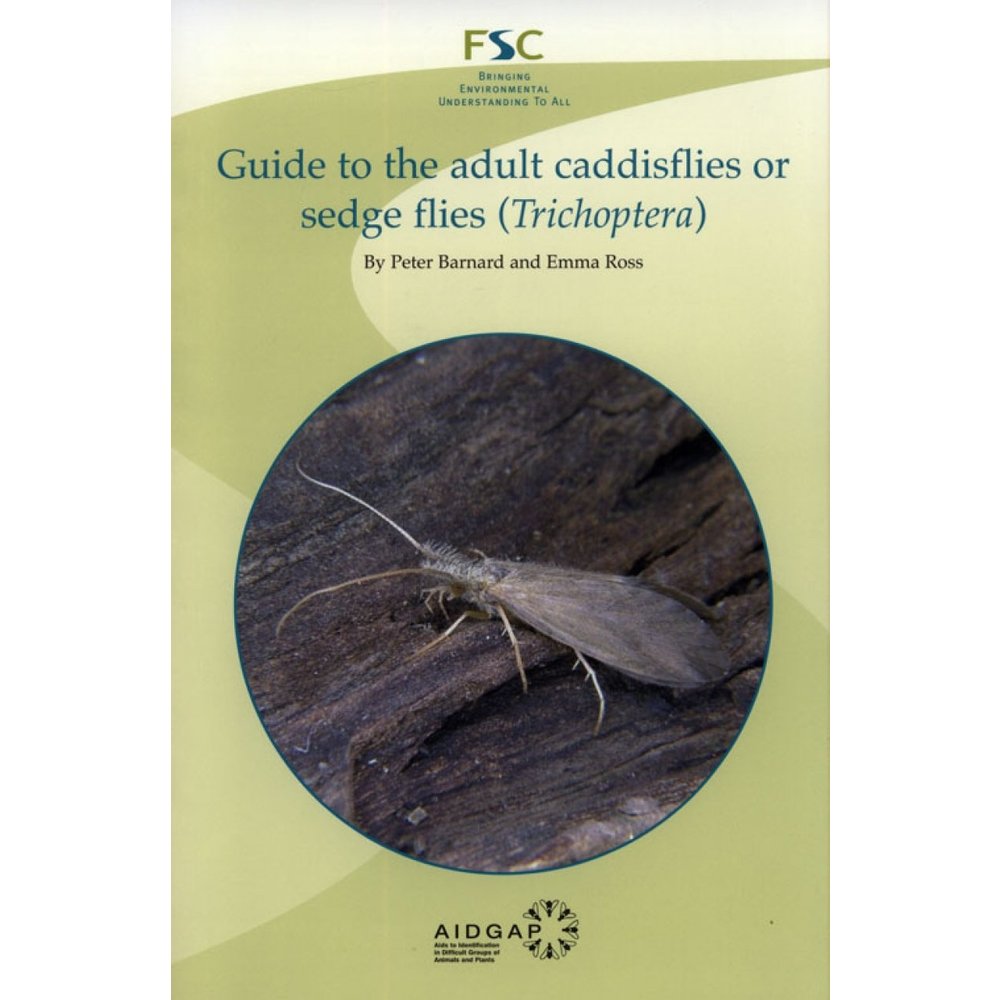 Guide to the Adult Caddisflies or Sedge Flies (Trichoptera) - Veldshop