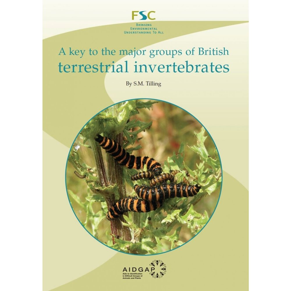 A Key to the Major Groups of British Terrestrial Invertebrates - Veldshop