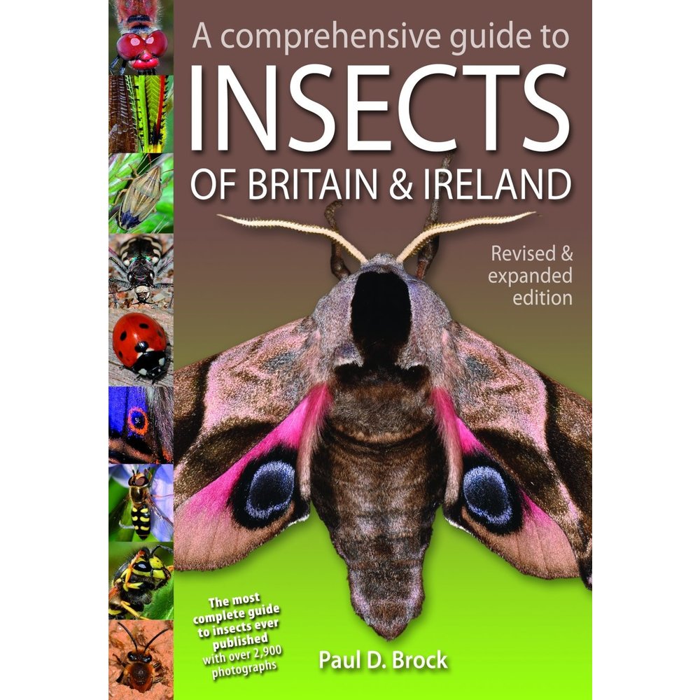 A Comprehensive Guide to Insects of Britain & Ireland - Veldshop