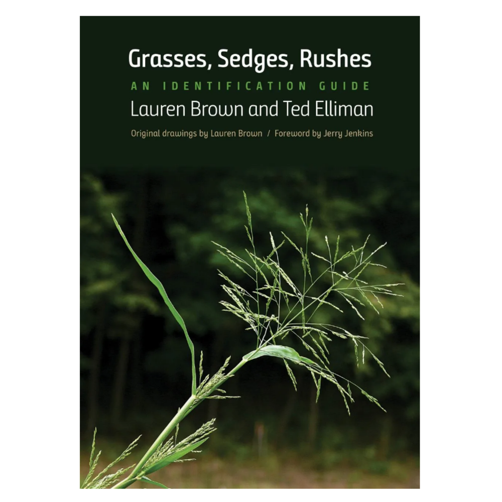 Grasses, Sedges, Rushes - Veldshop
