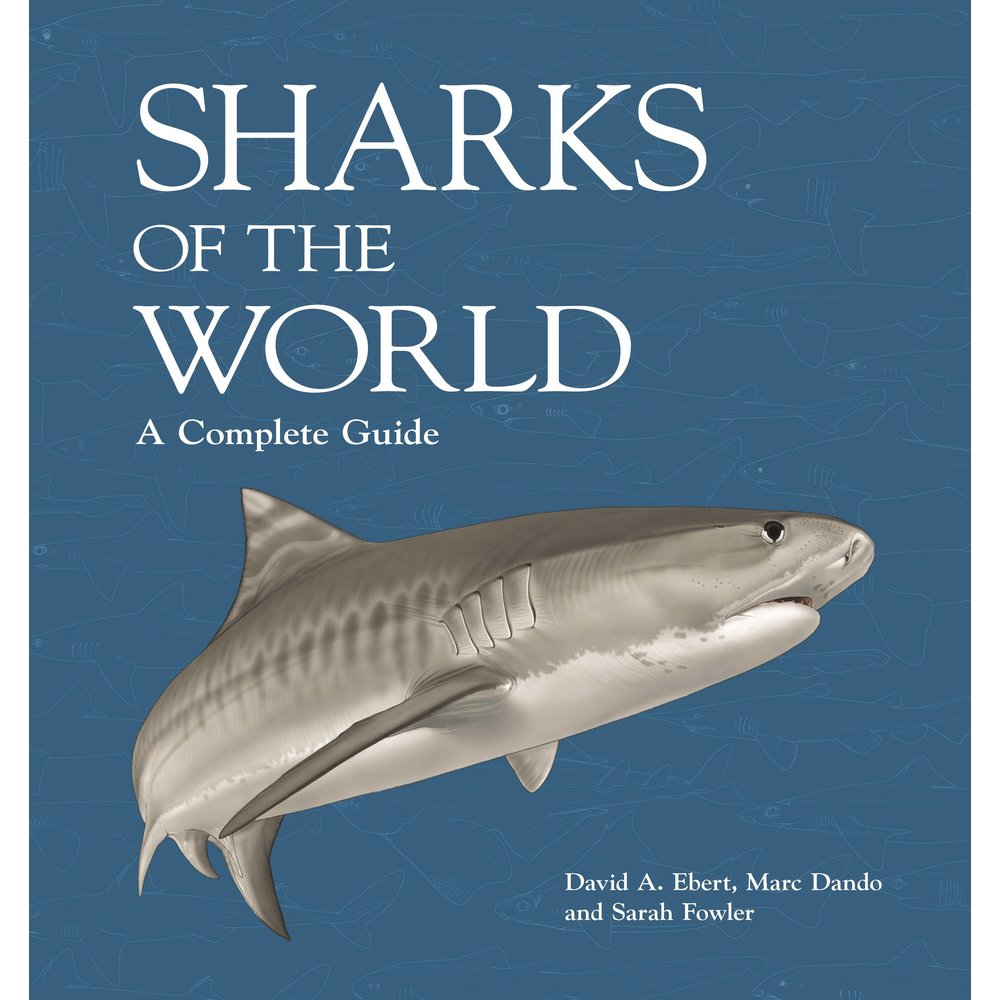 Sharks of the World - A Complete Guide - Veldshop