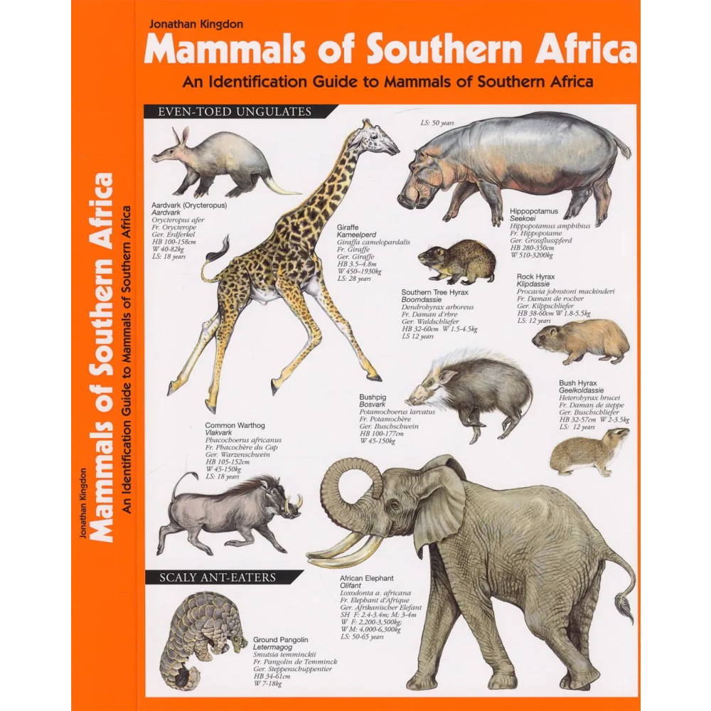Mammals of Southern Africa - An Identification Guide - Veldshop