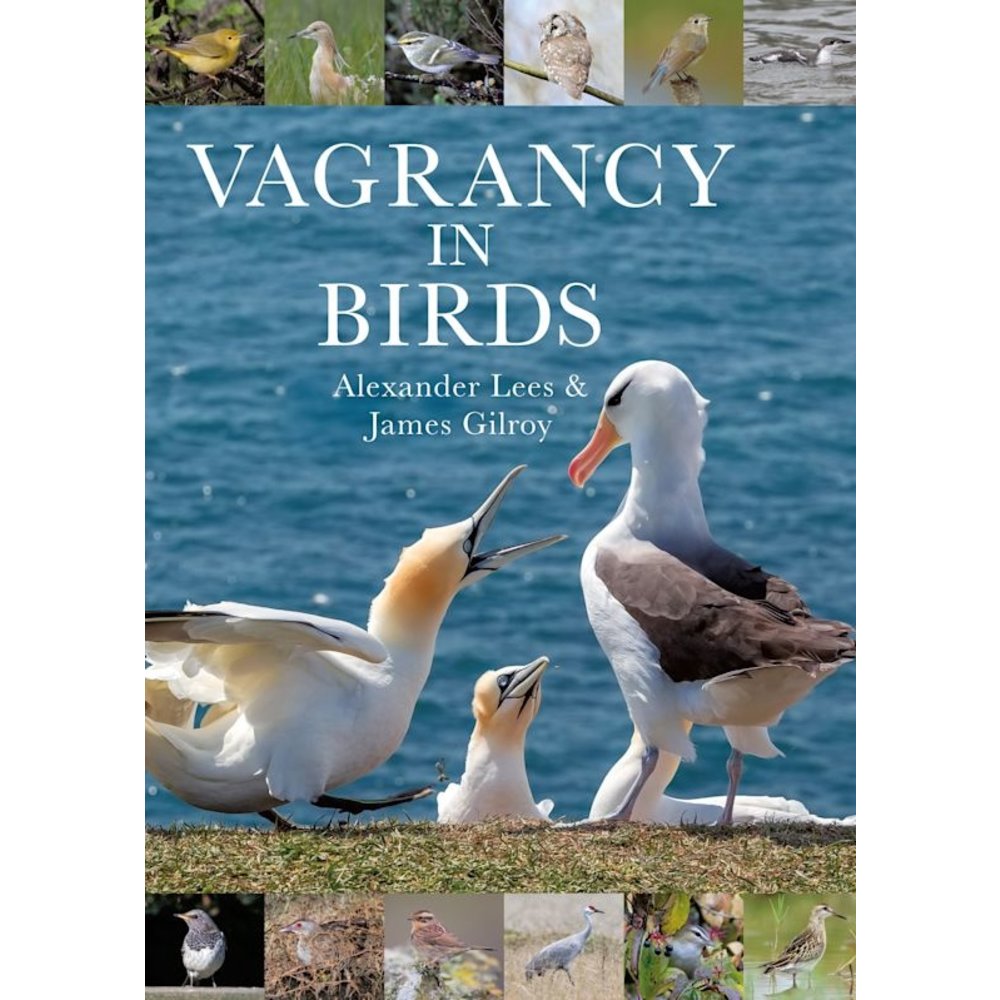 Vagrancy in Birds - Veldshop