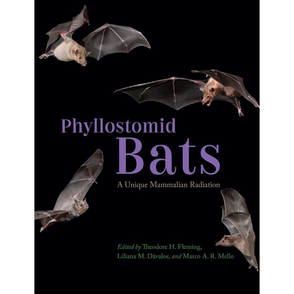 Phyllostomid Bats - A Unique Mammalian Radiation - Veldshop