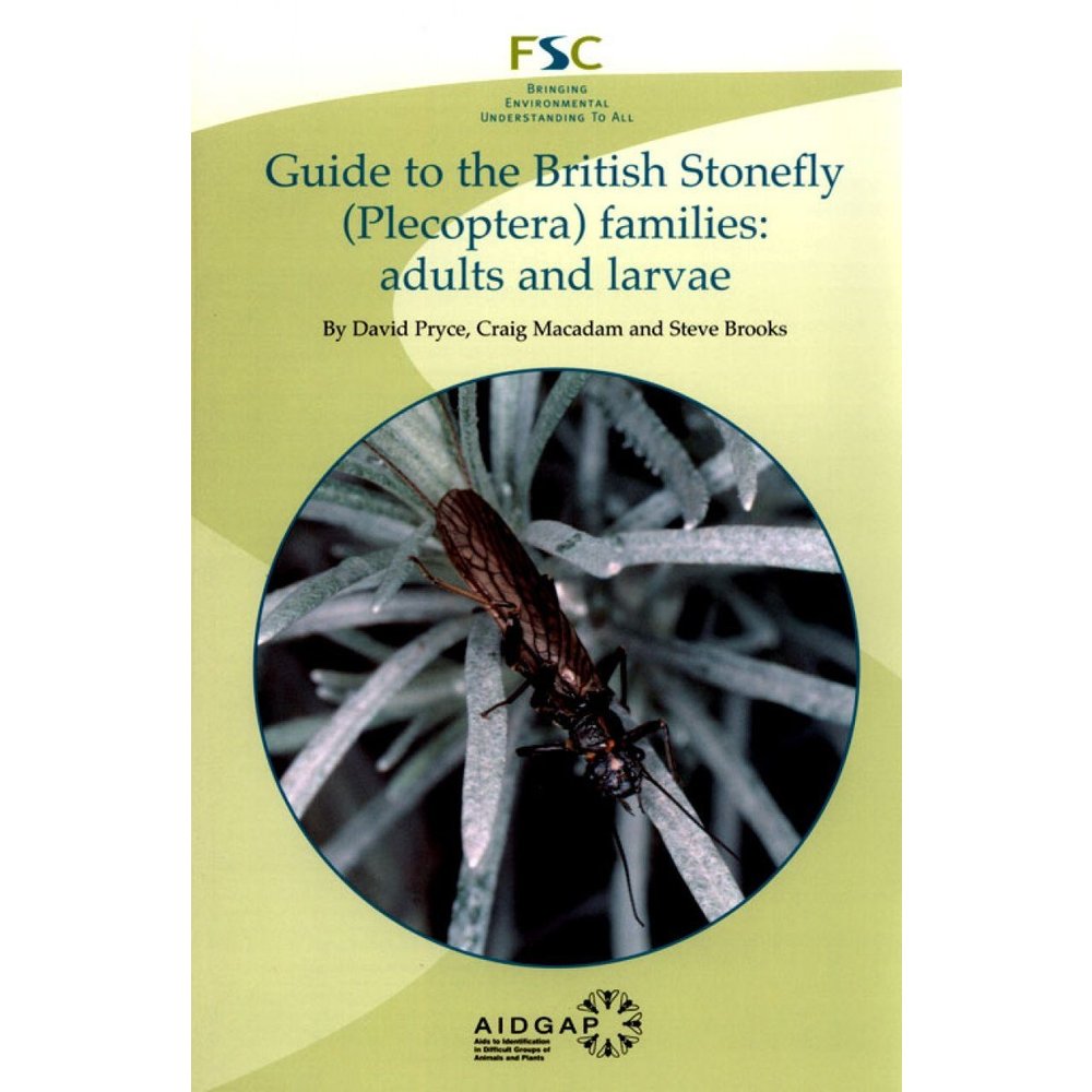 Guide to the British Stonefly (Plecoptera) Families: Adults and Larvae ...