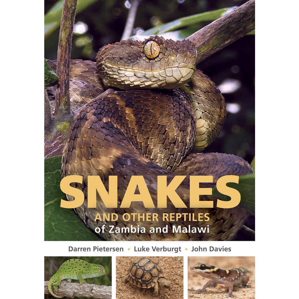 Snakes and other Reptiles of Zambia and Malawi - Veldshop