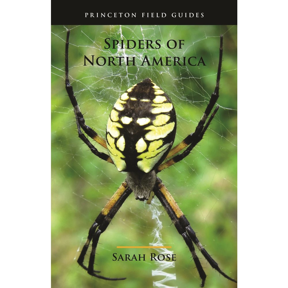 Spiders of North America - Veldshop.nl