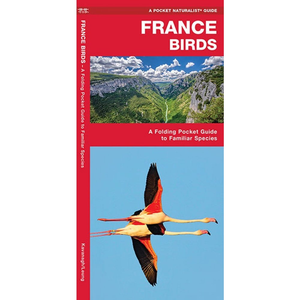 France Birds - A Folding Pocket Guide to Familiar Species - Veldshop