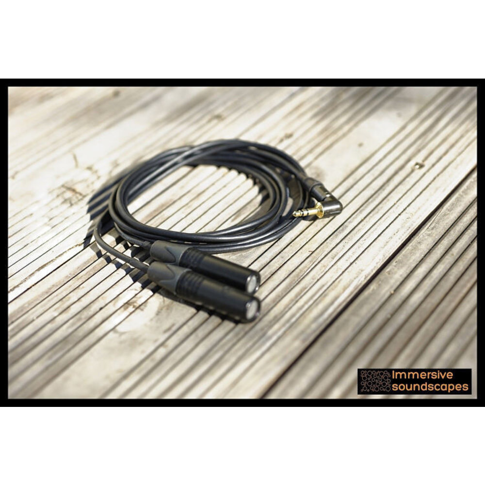EarSight Standard PIP Stereo Microphone - Veldshop