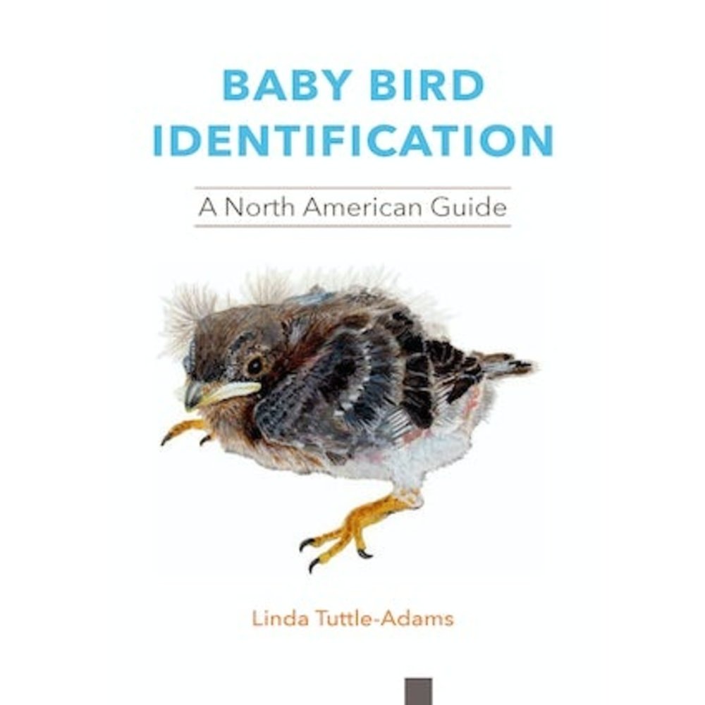 Baby Bird Identification - Veldshop