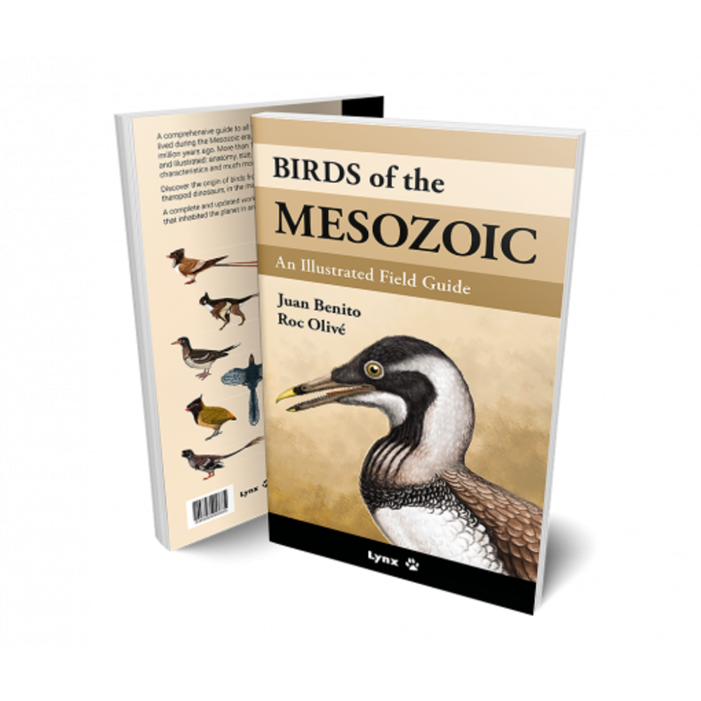 Birds of the Mesozoic - Veldshop