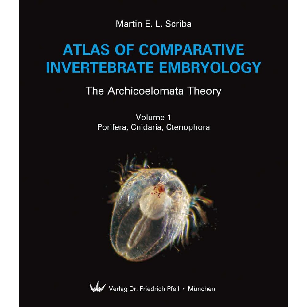 Comparative Embryology Anatomical Embryonic/10_38