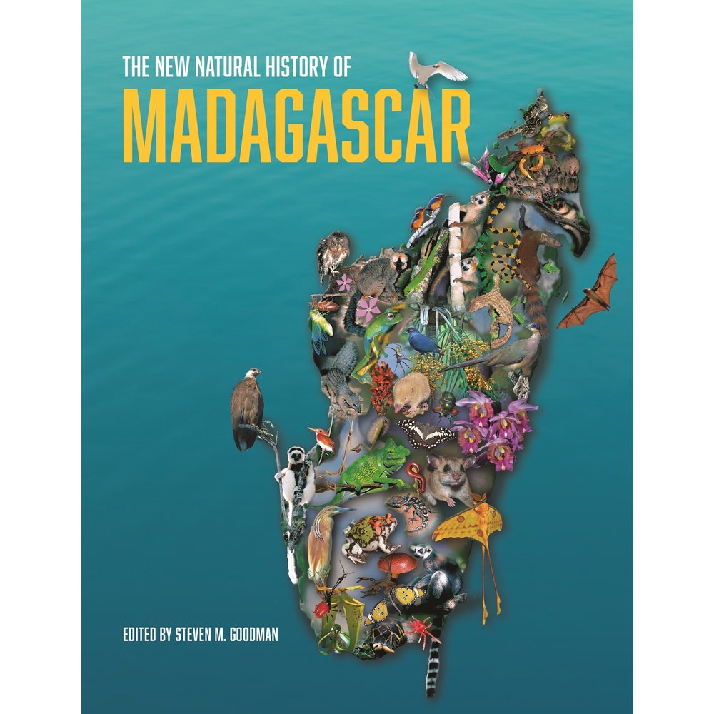 Madagascar 2 Madagascar 2 (New Linelook) – Giochi E Prodotti Per