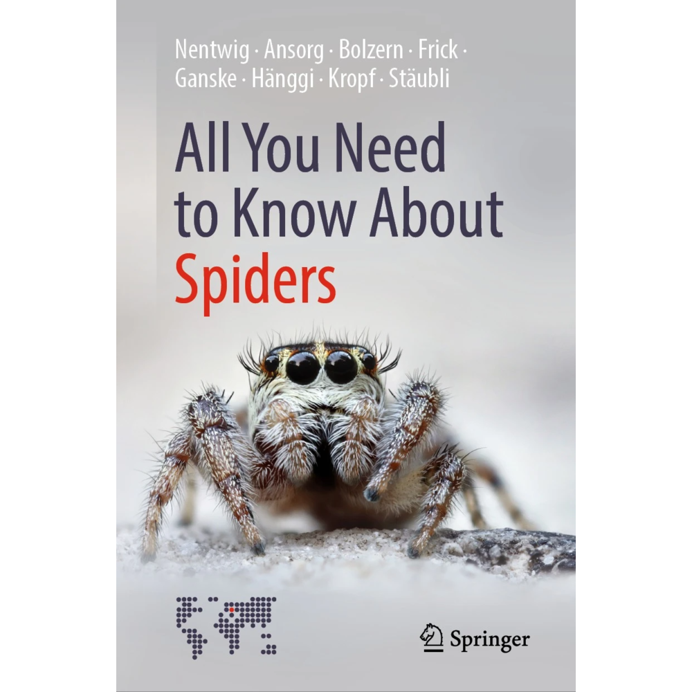 All You Need to Know About Spiders - Veldshop.nl