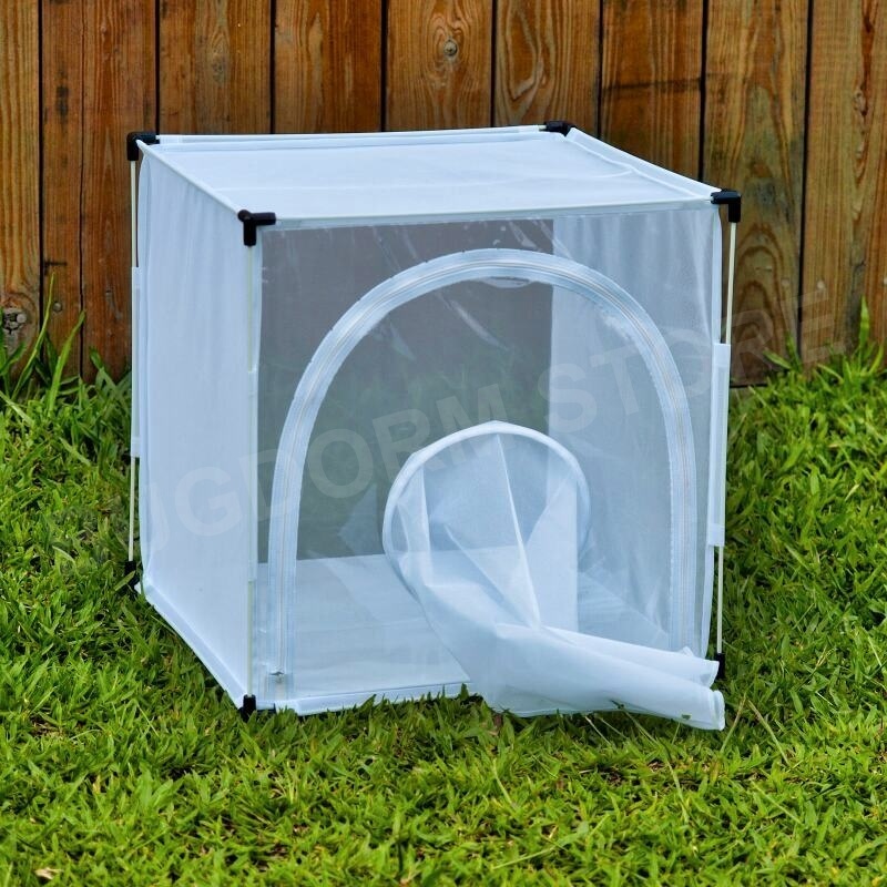 BugDorm-4F4545 Insect Rearing Cage - Veldshop.nl