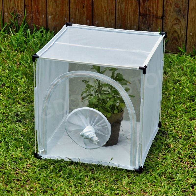 BugDorm-4F4545 Insect Rearing Cage - Veldshop.nl