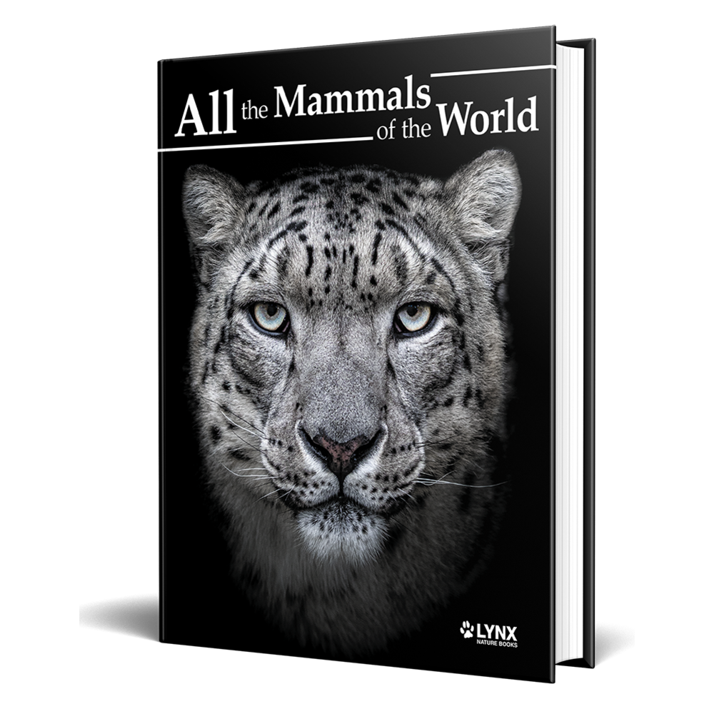 All the Mammals of the World - Veldshop