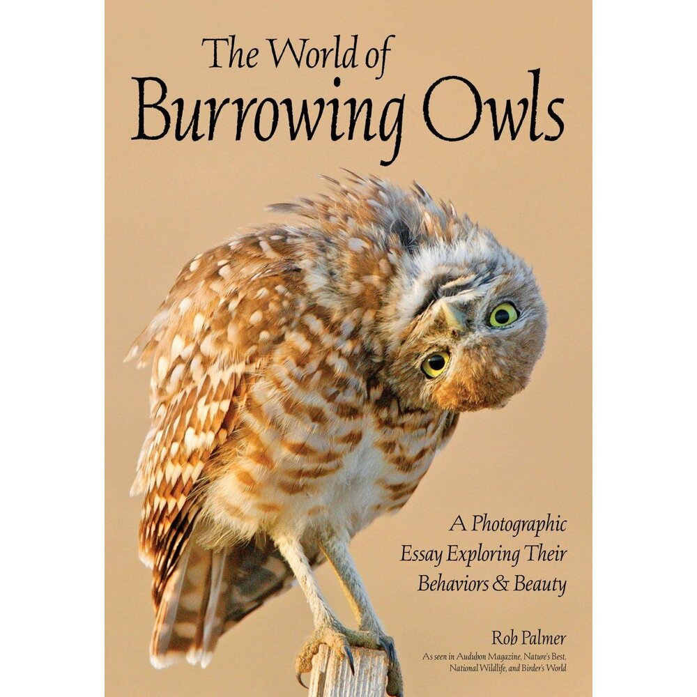 The World of Burrowing Owls - Veldshop.nl