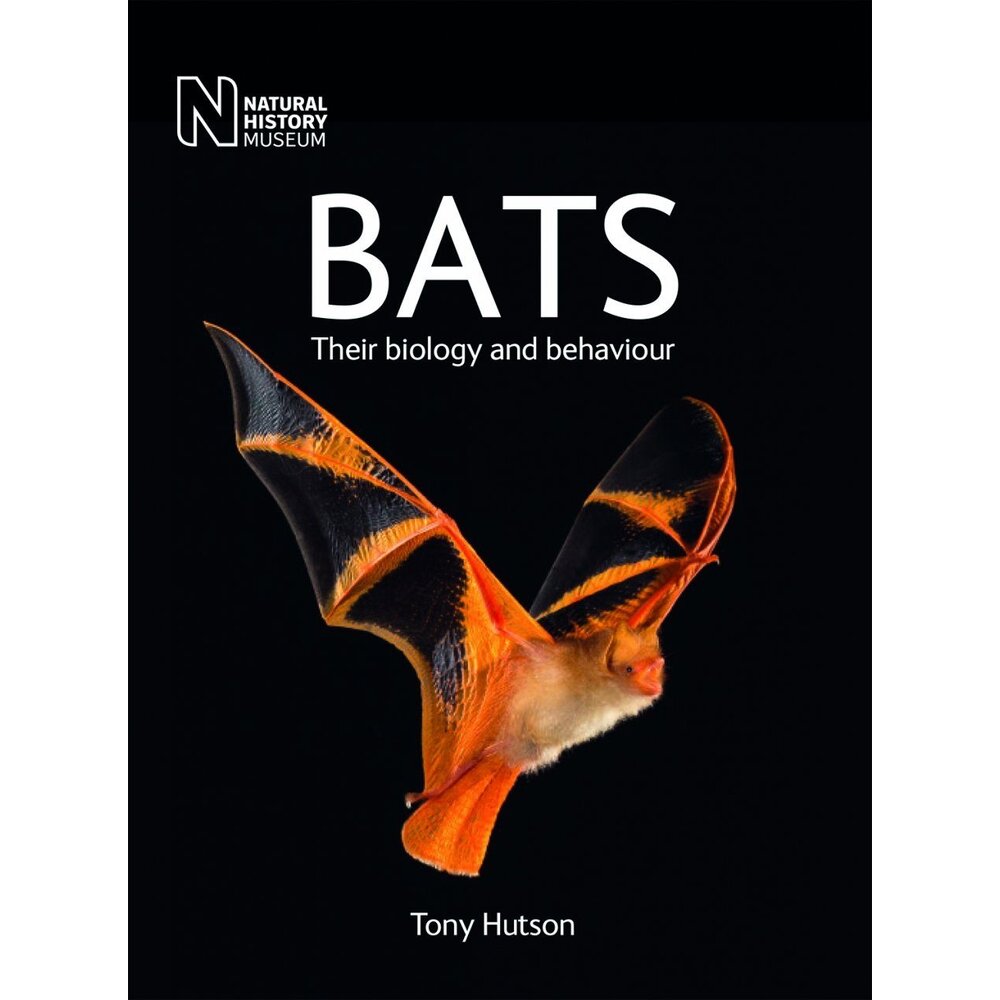 Bats - Their biology and behaviour - Veldshop