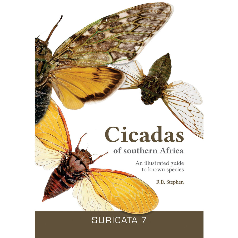 Cicadas of southern Africa - Veldshop